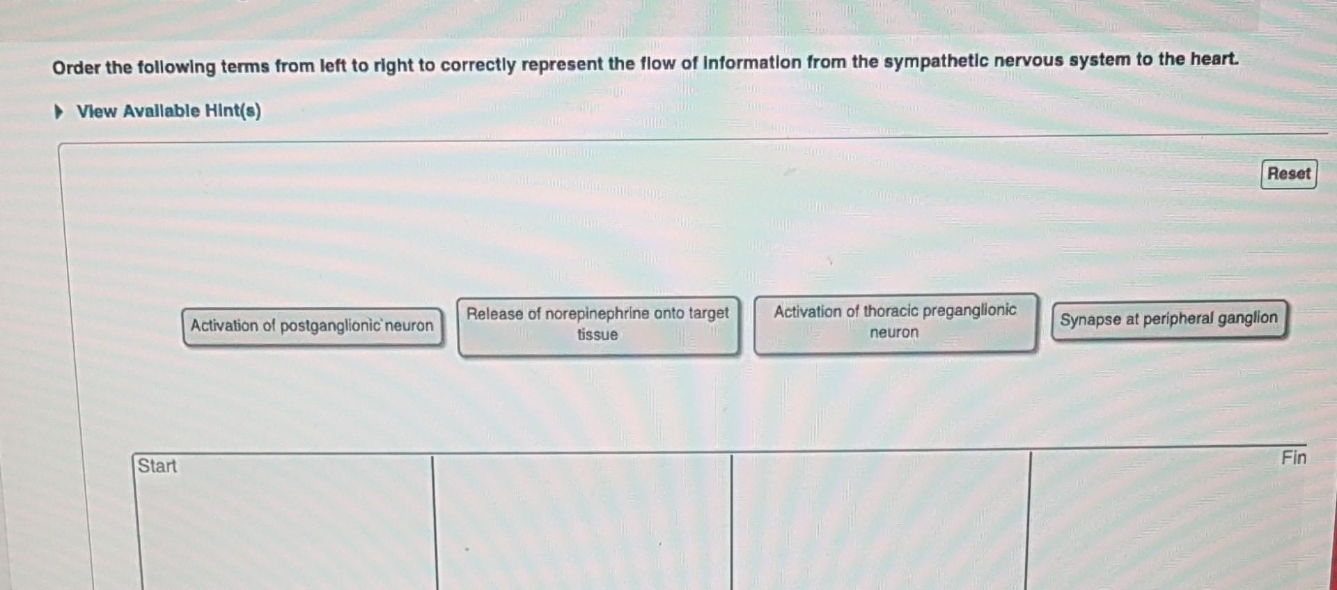 Solved Order the following terms from left to right to | Chegg.com