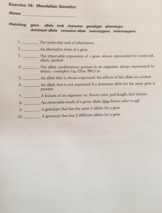 Solved Exercise 14: Mendelian Genetics Name Matching: gene | Chegg.com