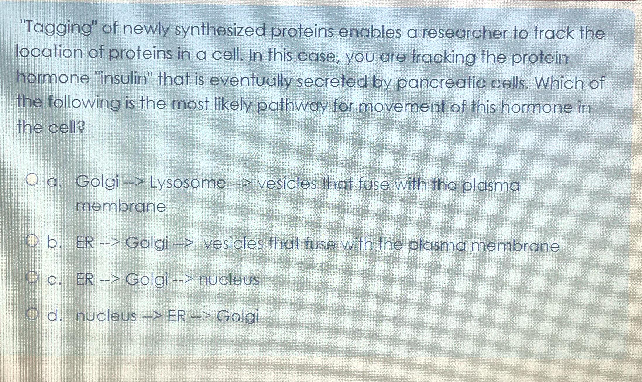 Solved "Tagging" of newly synthesized proteins enables a | Chegg.com