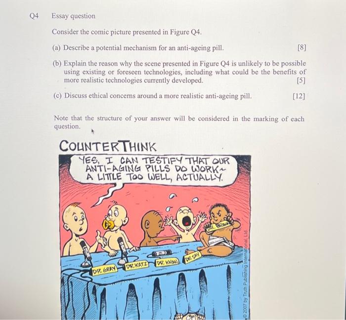 Solved Q4 Essay question Consider the comic picture | Chegg.com