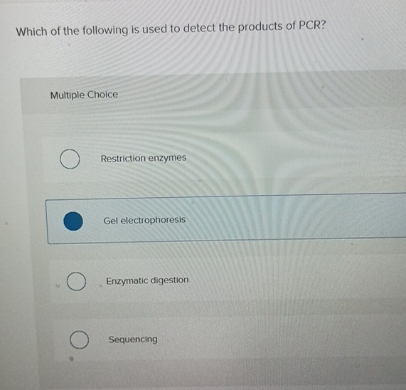 Solved Which of the following is used to detect the products | Chegg.com