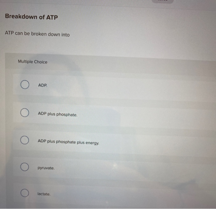 Solved Breakdown of ATP ATP can be broken down into Multiple | Chegg.com