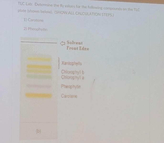 Solved TLC Lab: Determine the Rf values for the following | Chegg.com