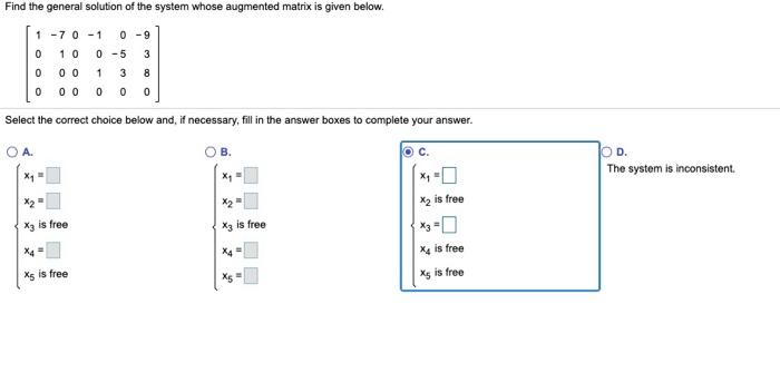 Solved Describe the possible echelon forms of a nonzero 2 x | Chegg.com