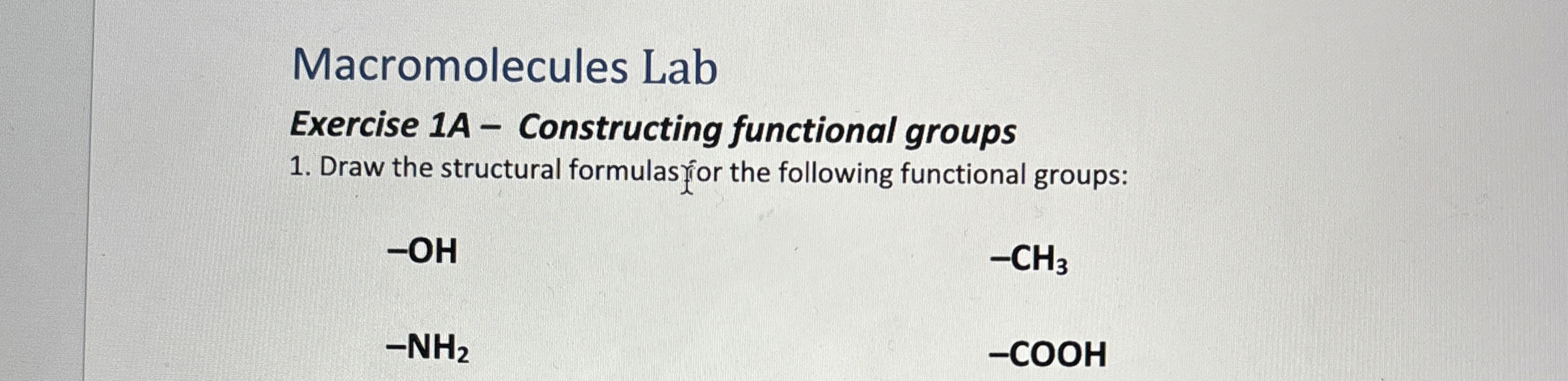 Solved Macromolecules LabExercise 1A - ﻿Constructing | Chegg.com