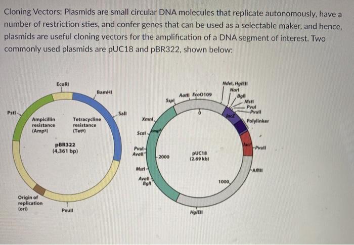 Solved Cloning Vectors: Plasmids are small circular DNA | Chegg.com
