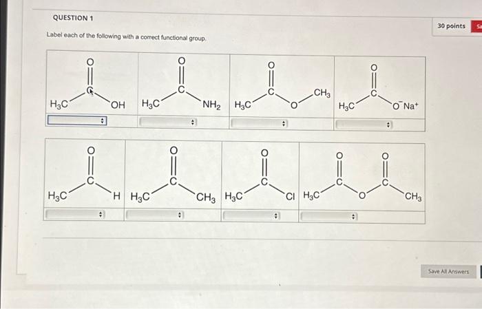 Solved QUESTION 1 Label each of the following with a correct | Chegg.com