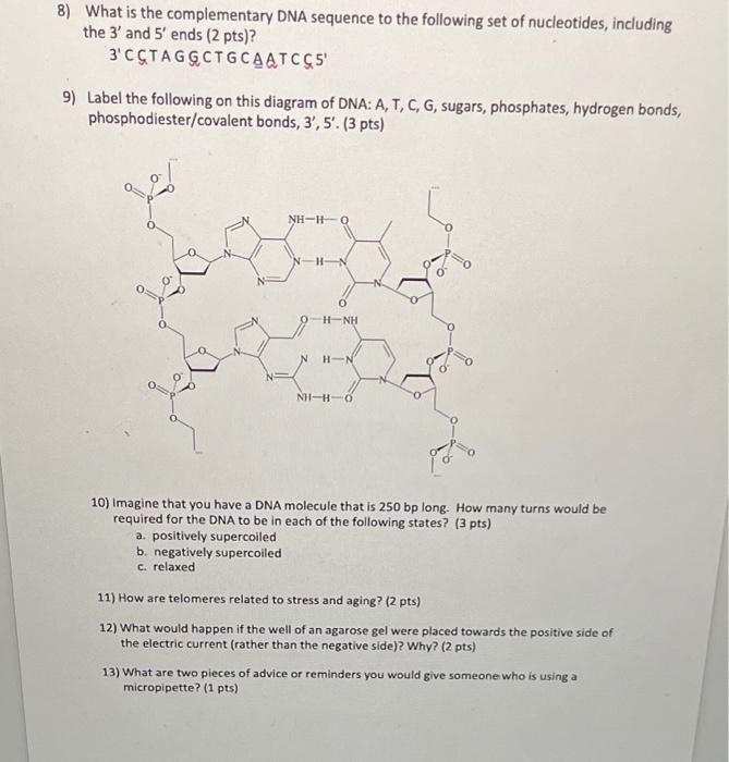 Solved 8) What is the complementary DNA sequence to the | Chegg.com