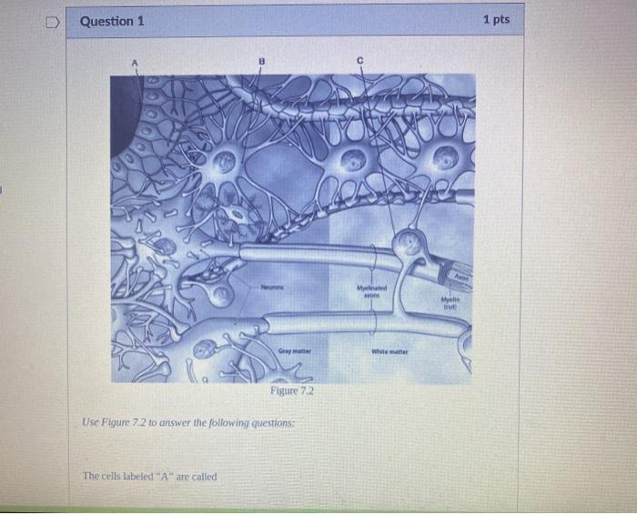 Solved Question 1 1 pts Mind My tout Figure 7.2 Use Figure | Chegg.com