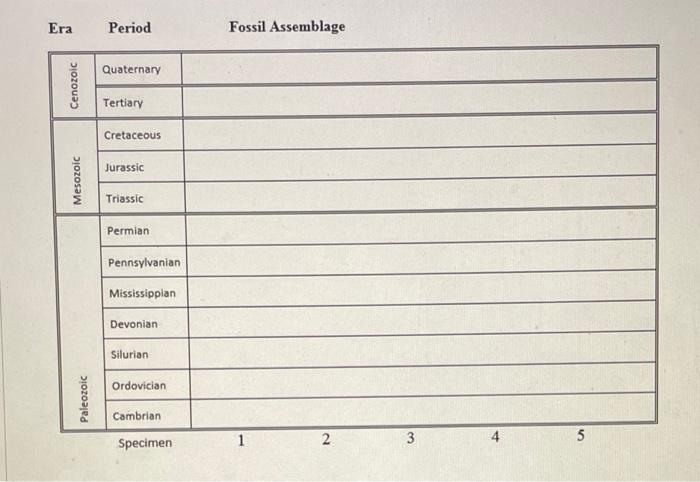 Solved Era Period Fossil Assemblage 1. Determine the | Chegg.com