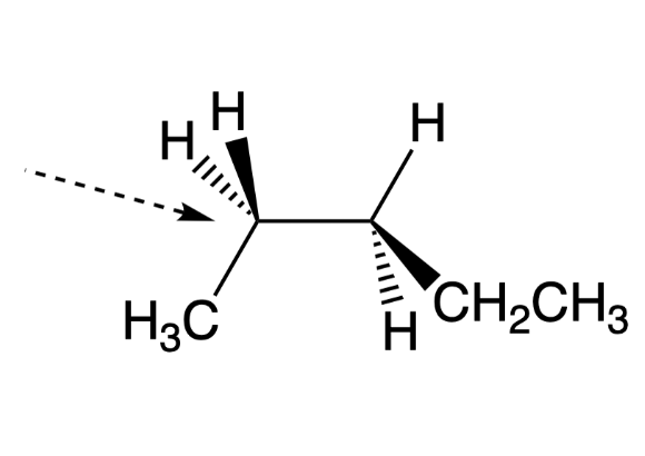 Solved Draw a Newman projection of the most stable | Chegg.com