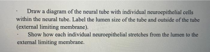 Solved Draw a diagram of the neural tube with individual | Chegg.com