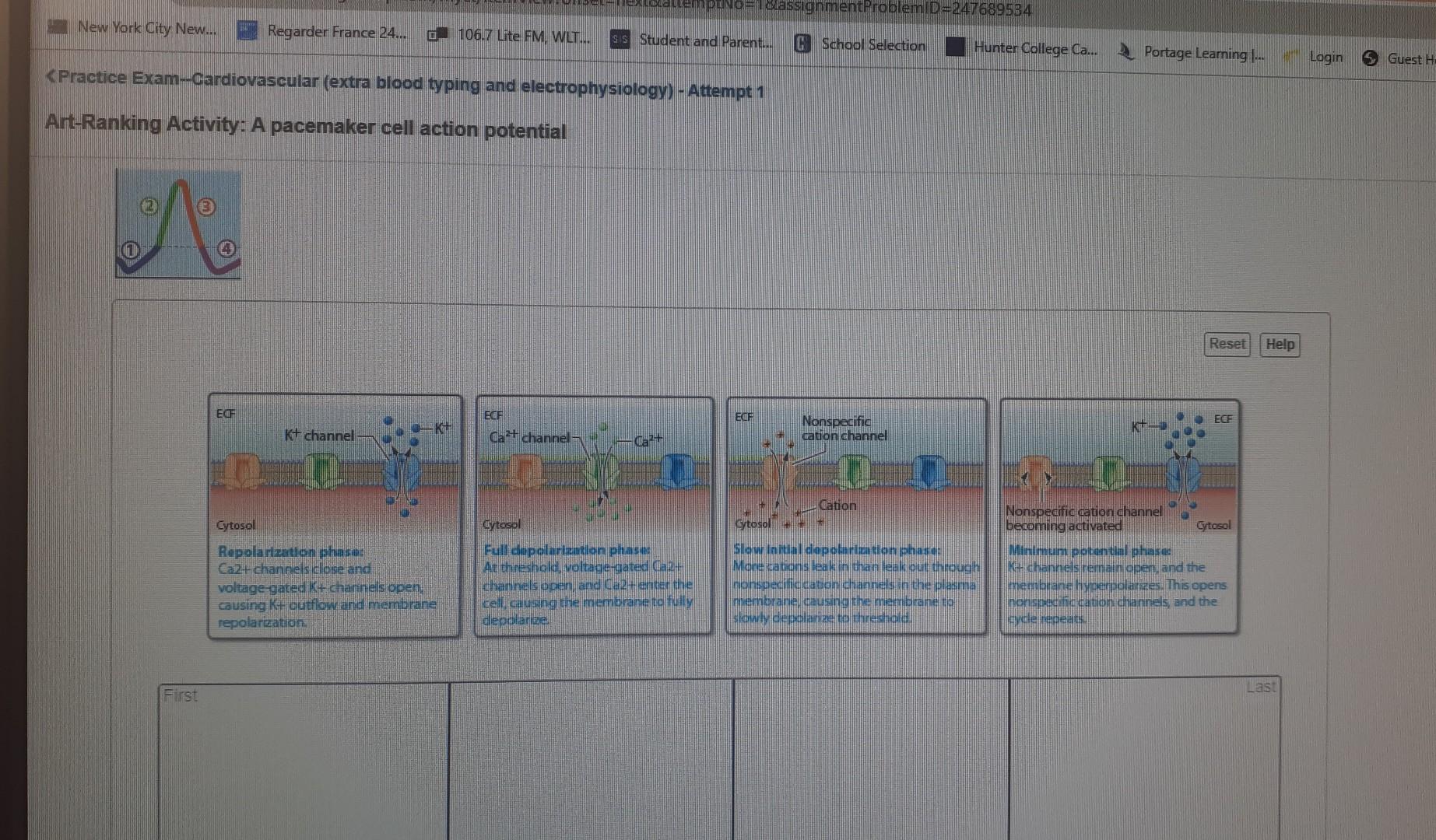 KPractice Exam-Cardiovascular (extra biood typing and | Chegg.com