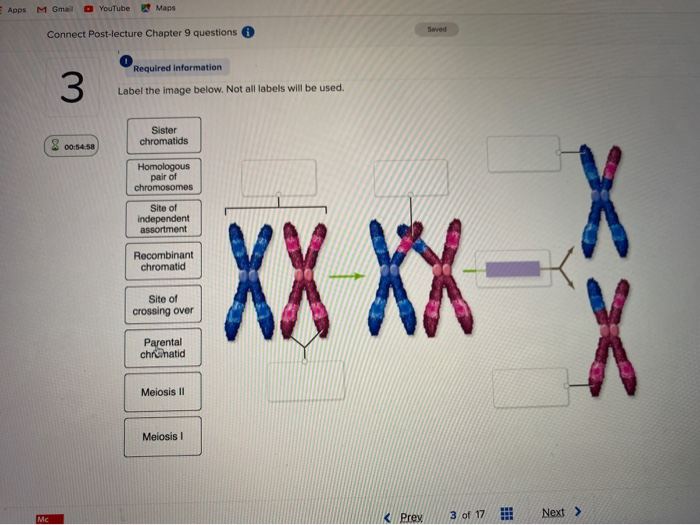 Solved Apps M Gmail o YouTube Maps Saved Connect | Chegg.com