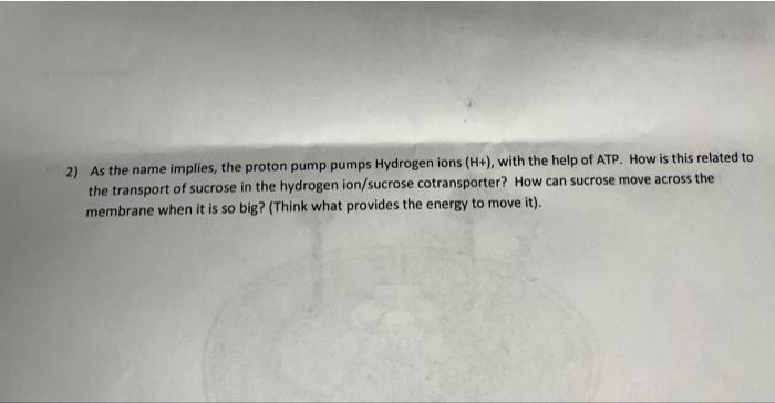 Solved 2) As the name implies, the proton pump pumps | Chegg.com