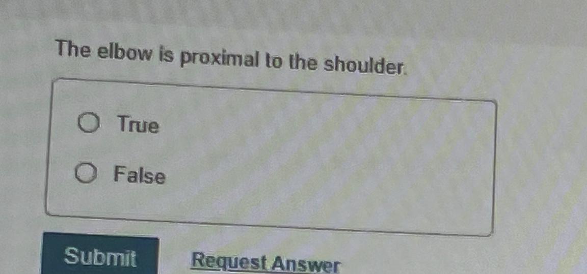 Solved The elbow is proximal to the | Chegg.com