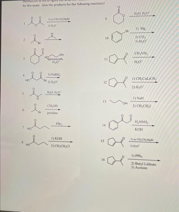Solved 1 1) xsCH3CH2MgBr 2 3 4 5 H2O,H3O+ 6 7 8 1) KOH 2) | Chegg.com