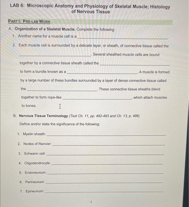 LAB 6: Microscopic Anatomy and Physiology of Skeletal | Chegg.com