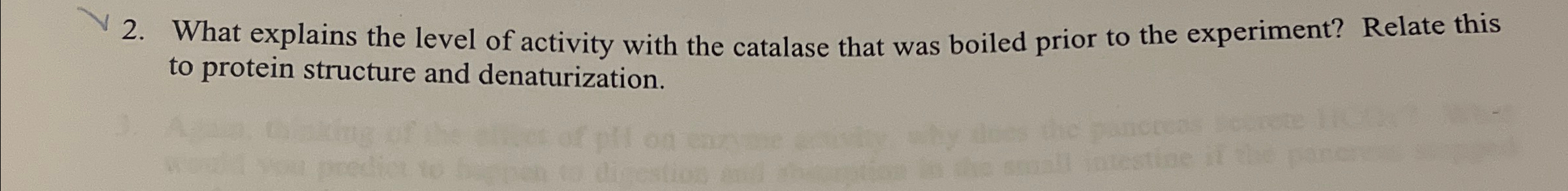 Solved What explains the level of activity with the catalase | Chegg.com