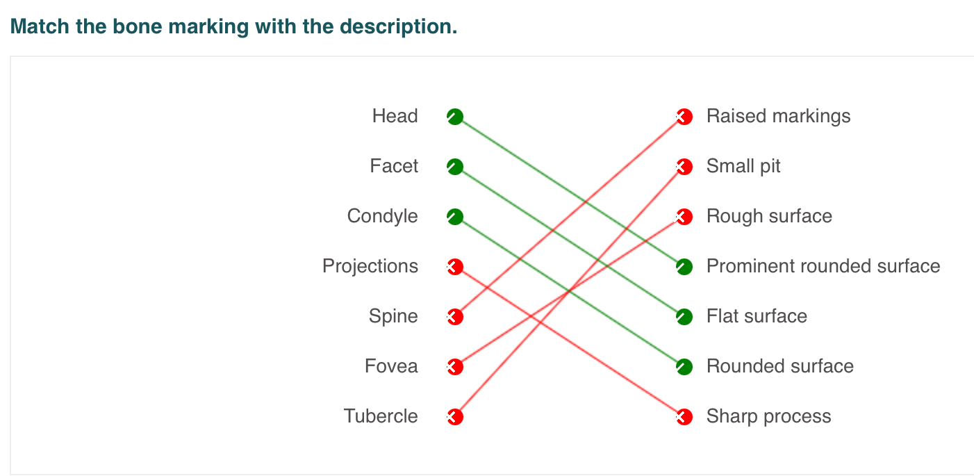 Solved Match the bone marking with the description. | Chegg.com