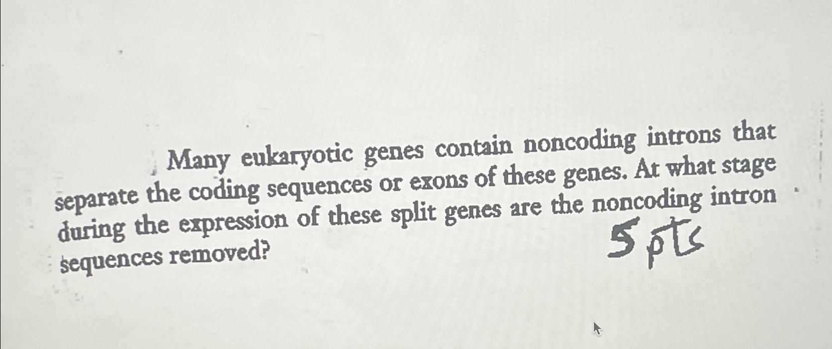 Solved Many eukaryotic genes contain noncoding introns that | Chegg.com