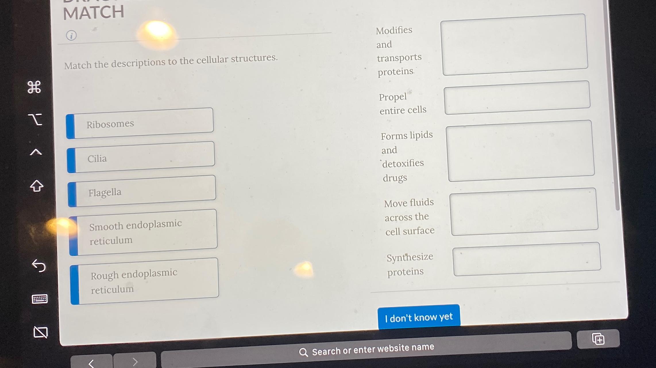 Solved MATCH(i)Match the descriptions to the cellular | Chegg.com