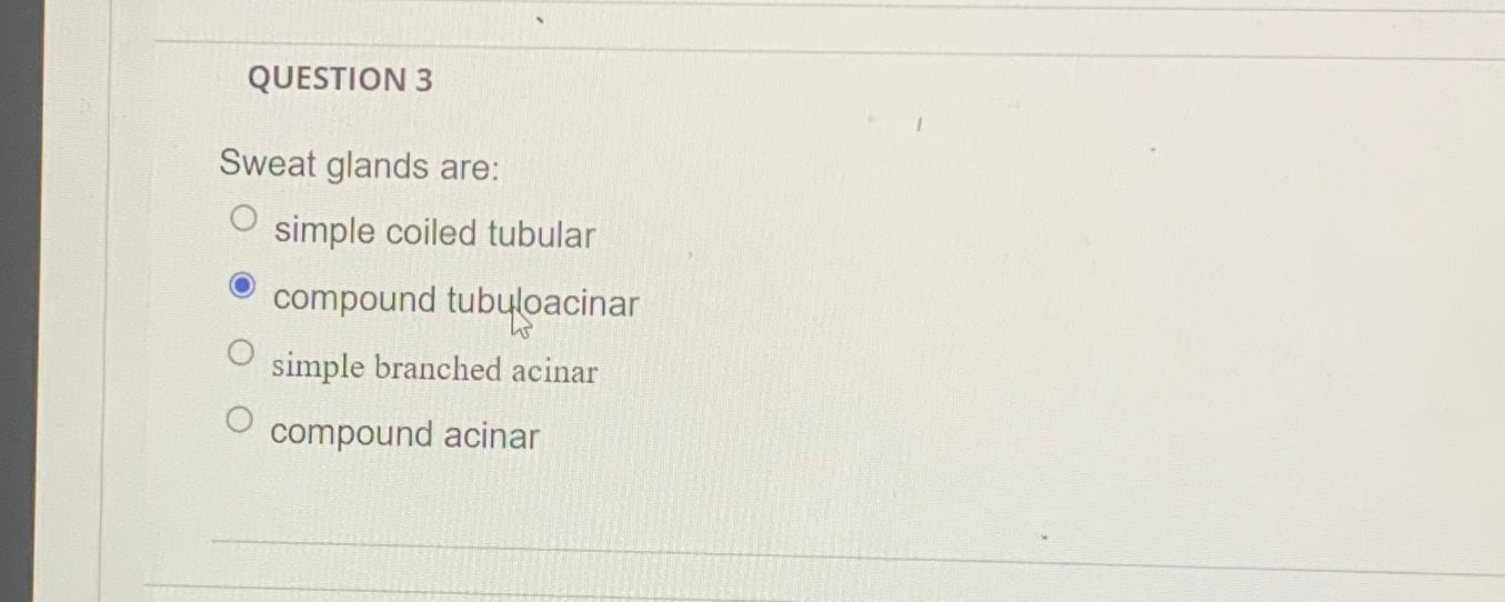 Solved QUESTION 3Sweat glands are:simple coiled | Chegg.com
