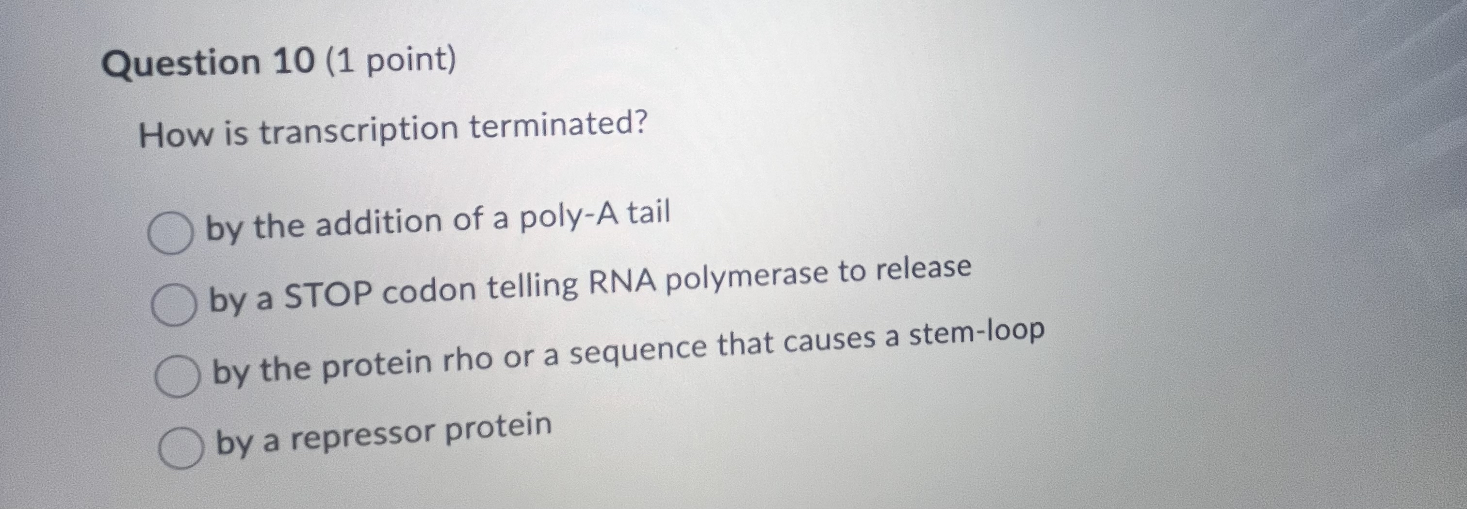 Solved Question 10 (1 ﻿point)How is transcription | Chegg.com