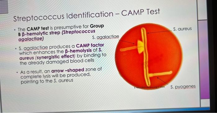 Solved a. Document your results from the plate/s including | Chegg.com