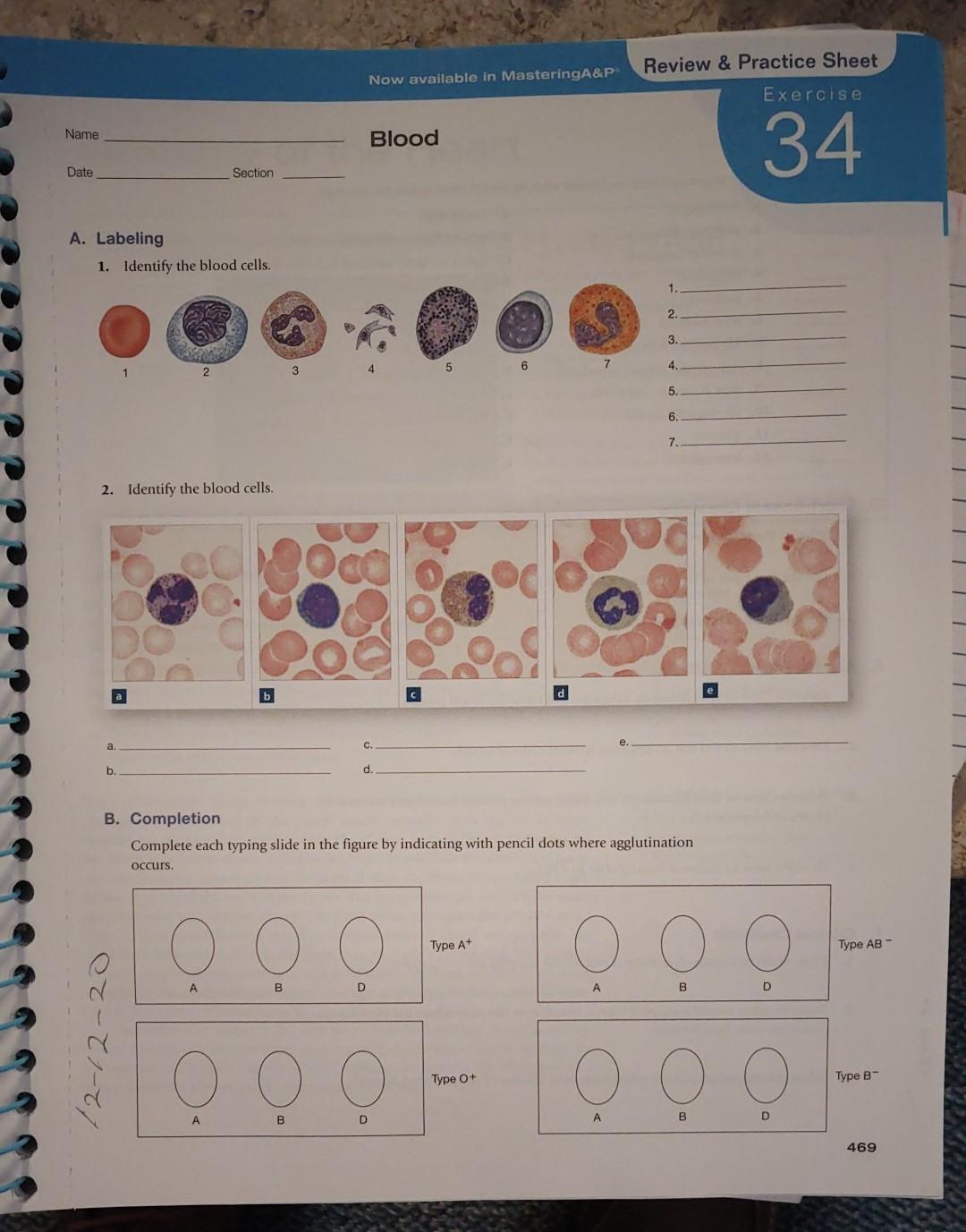 Solved Review & Practice Sheet Now available in MasteringA&P | Chegg.com