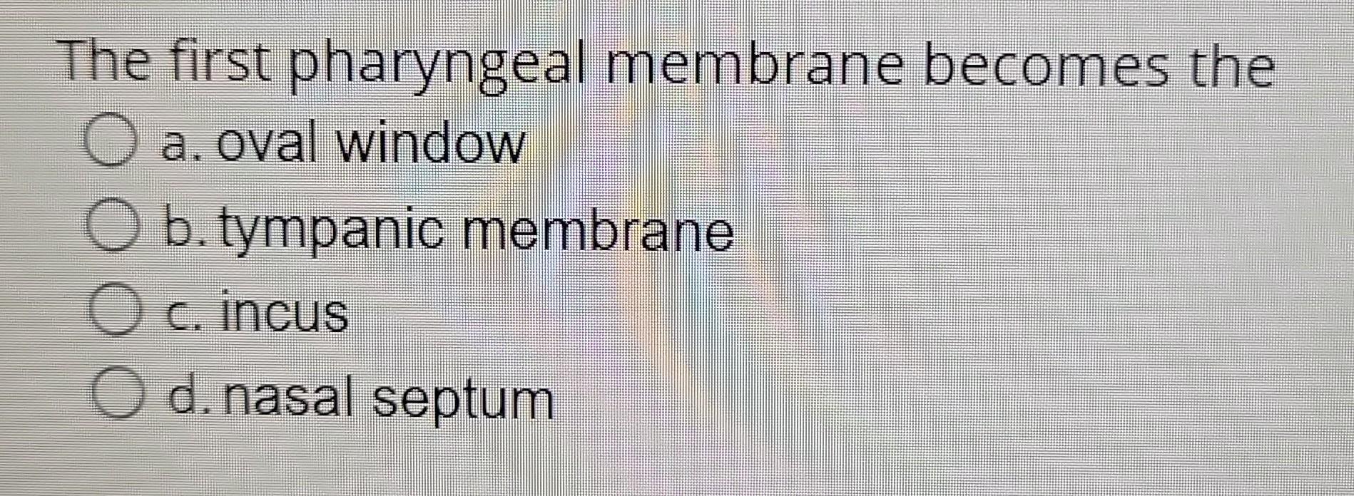 Solved The first pharyngeal membrane becomes the a. oval | Chegg.com