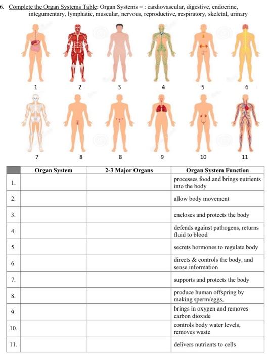 Solved Complete The Organ Systems Table: Organ Systems, 42% OFF Solved Complete The Organ Systems Table: Organ Systems, 42% OFF