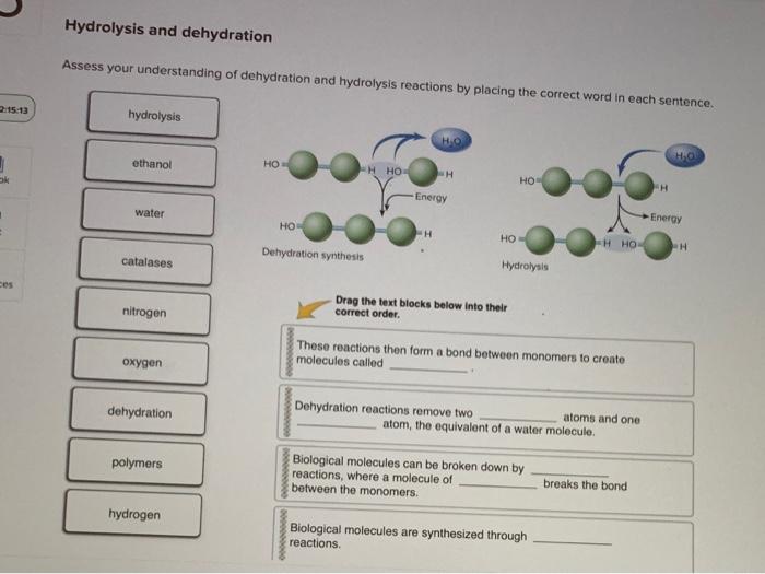 Solved Hydrolysis and dehydration Assess your understanding | Chegg.com