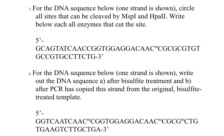 Solved For the DNA sequence below (one strand is shown), | Chegg.com