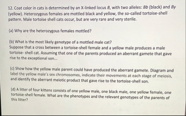 Solved Coat color in cats is determined by an X-linked locus | Chegg.com