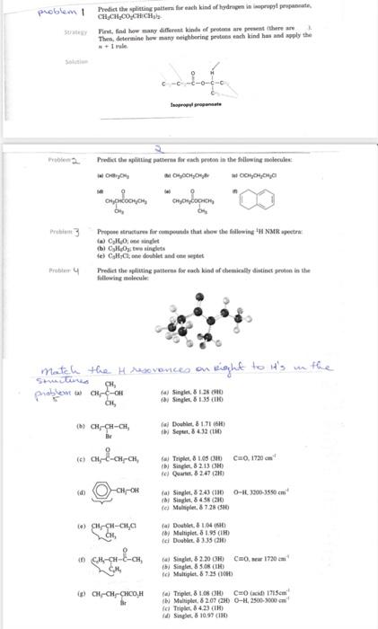 Solved Problem Predict The Splitting Patterns For Each Kind