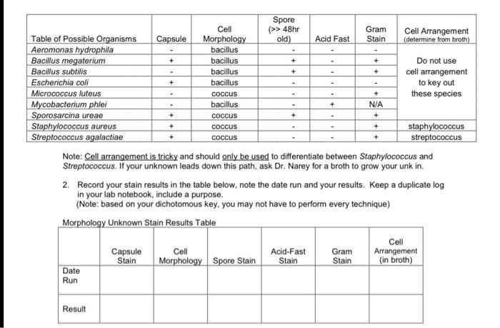 Solved MICROBIOLOGY 1 FIRST UNKNOWN - MORPHOLOGY Data Sheet | Chegg.com