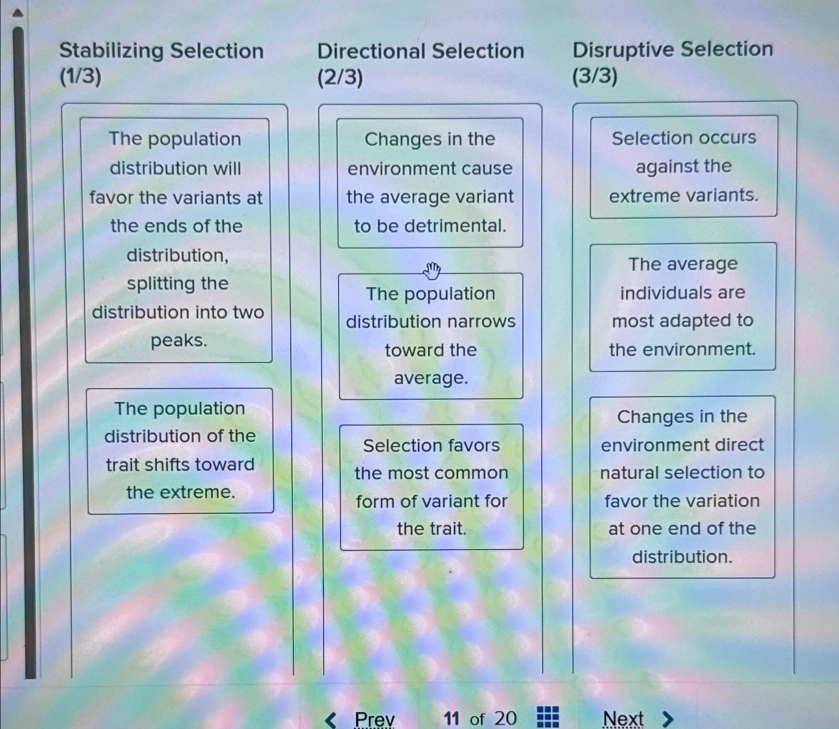 Solved Stabilizing Selection(13)Directional | Chegg.com
