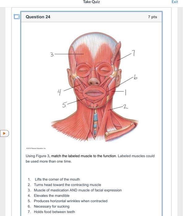 Solved Question 19 8 pts Using figure 2, name labeled | Chegg.com
