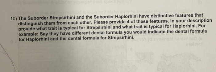 Solved 10) The Suborder Strepsirhini and the Suborder | Chegg.com