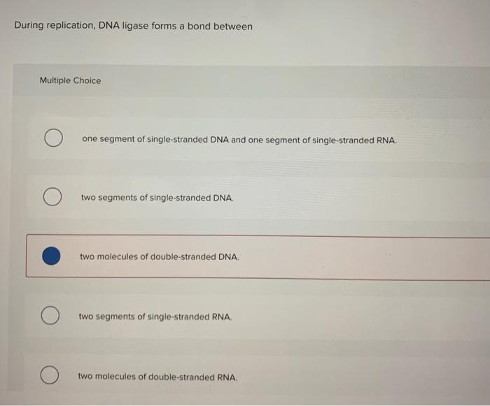 Solved During replication, DNA ligase forms a bond between | Chegg.com