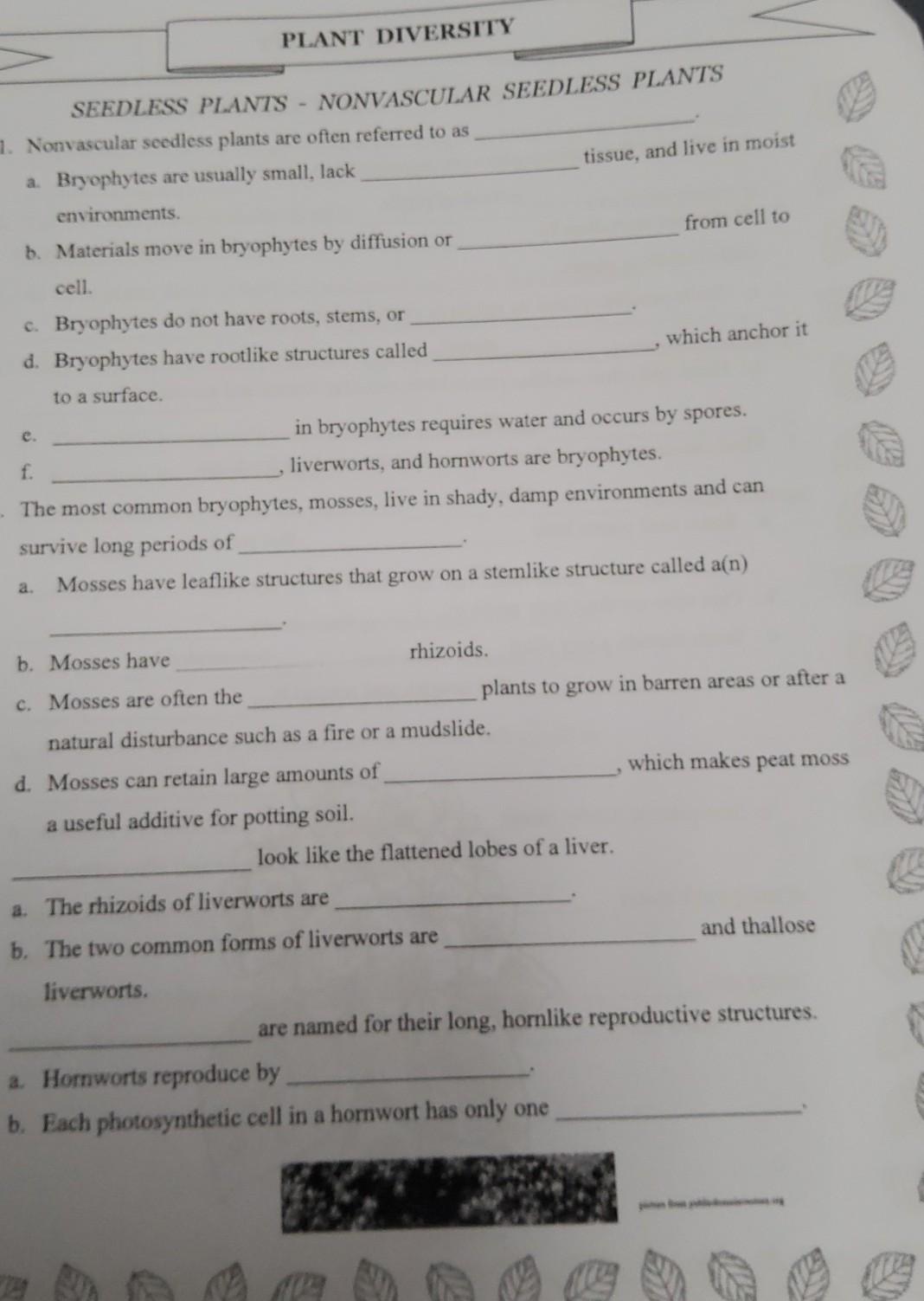 Solved PLANT DIVERSITY SEEDLESS PLANTS - NONVASCULAR | Chegg.com