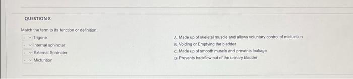 Solved Maich the term to its function or definition. Trigone | Chegg.com