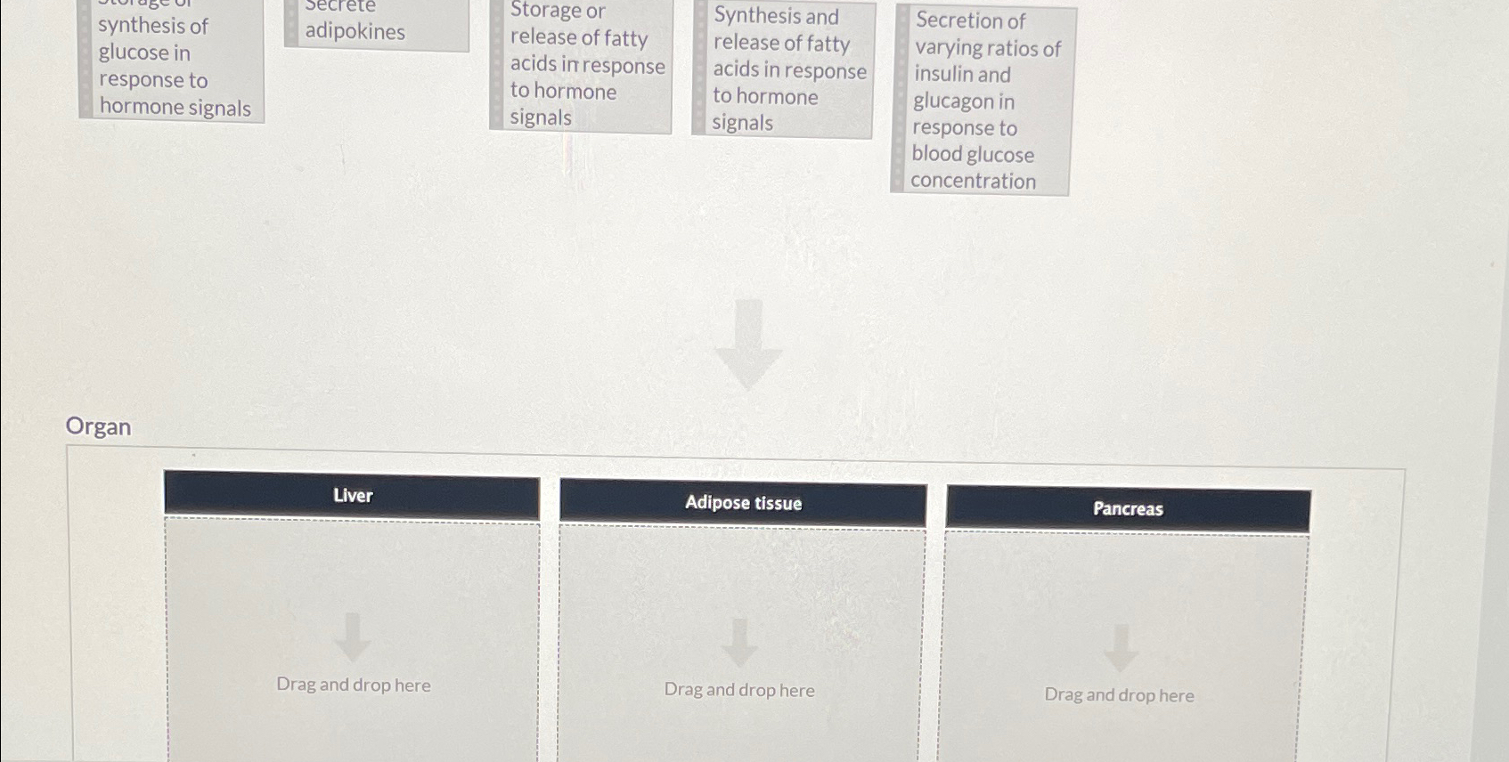 Solved synthesis of glucose in response to hormone | Chegg.com