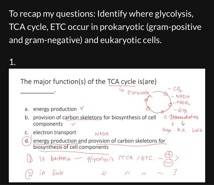 Solved To recap my questions: Identify where glycolysis, TCA | Chegg.com