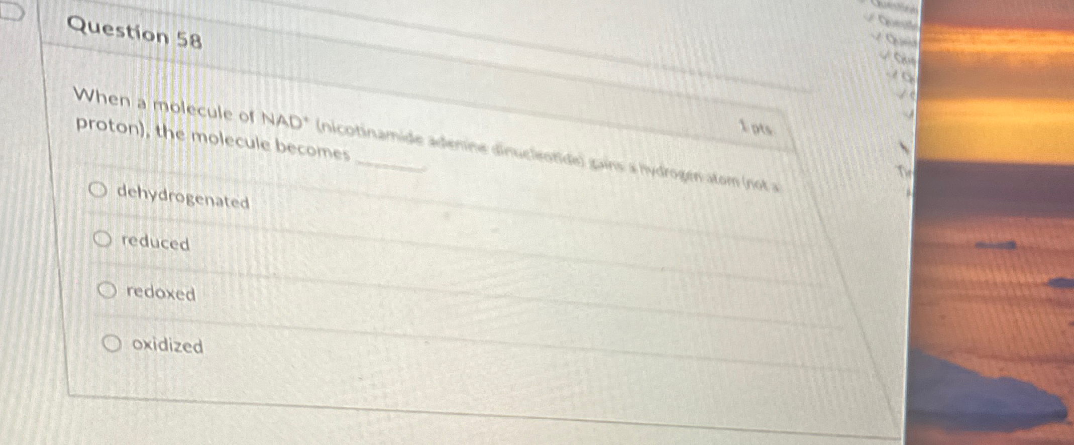 Solved Question 58 ﻿proton), ﻿the molecule becomes | Chegg.com
