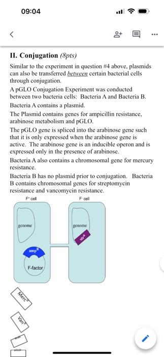 Solved II. Conjugation ( 8 pts) Similar to the experiment in | Chegg.com