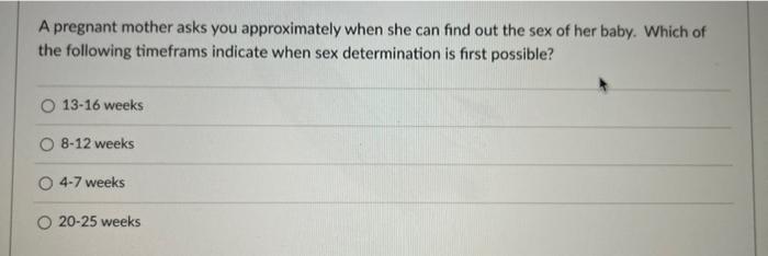 Solved Which theorist focused on Cognitive Development and | Chegg.com