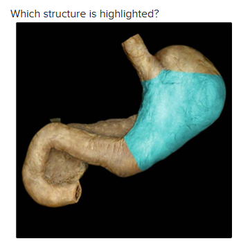 Solved Which structure is highlighted in blue is it the | Chegg.com