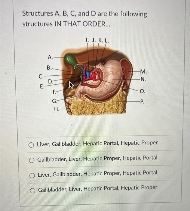 Solved Structures A, B, C, and D are the following | Chegg.com